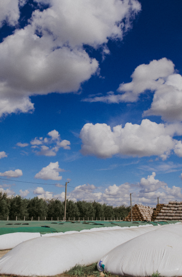 Ferma Baciu - Romanian quality beef, carried with love from farm to fork