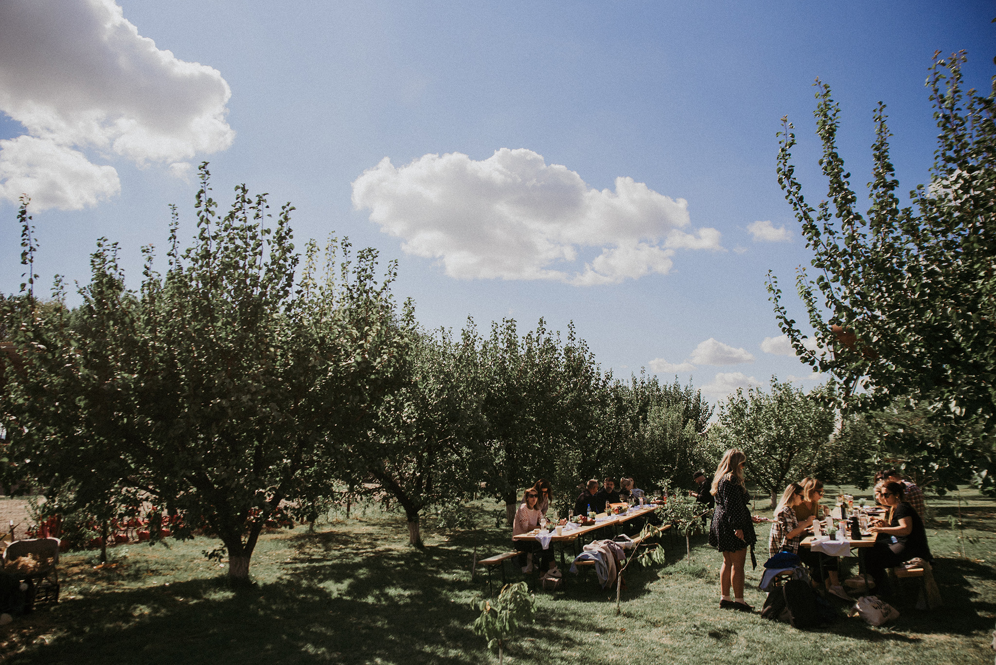 Ferma Baciu - Romanian quality beef, carried with love from farm to fork